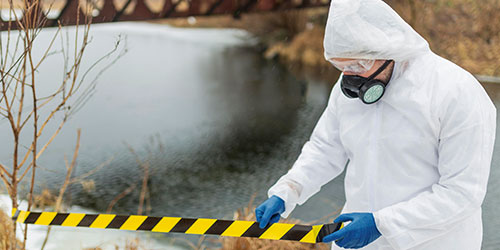 Effective Bees and Wasps Control Services | 365 Pest Control