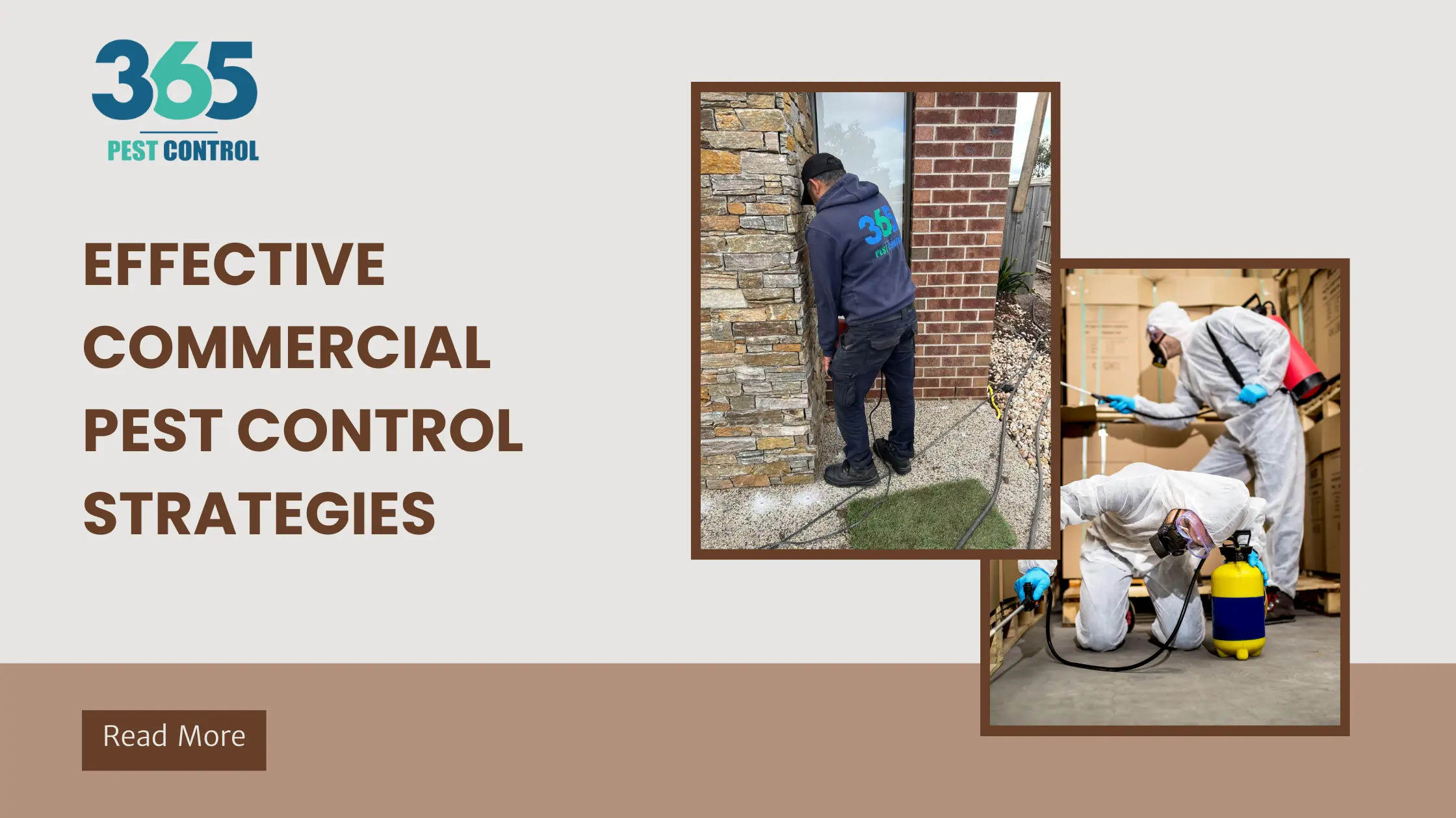 365 Pest Control Offers Effective Commercial Pest Control Strategies