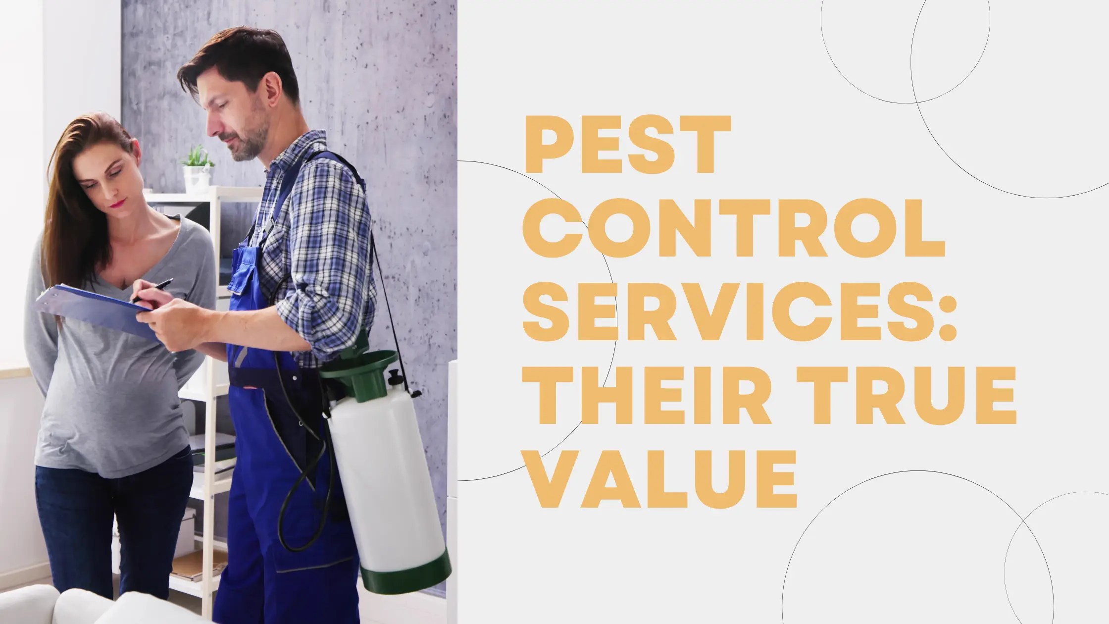 Pest Control Services: Their True Value